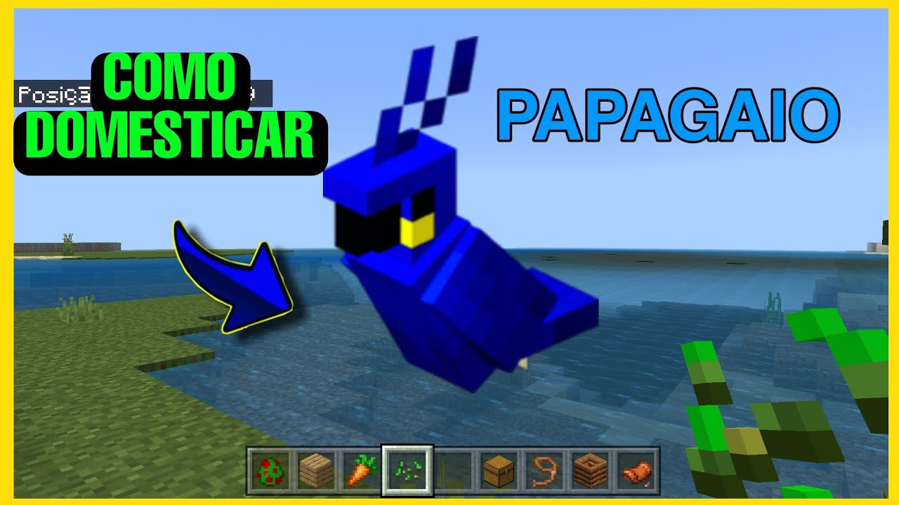 COMO DOMESTICAR UM PAPAGAIO NO MINECRAFT - YouTube