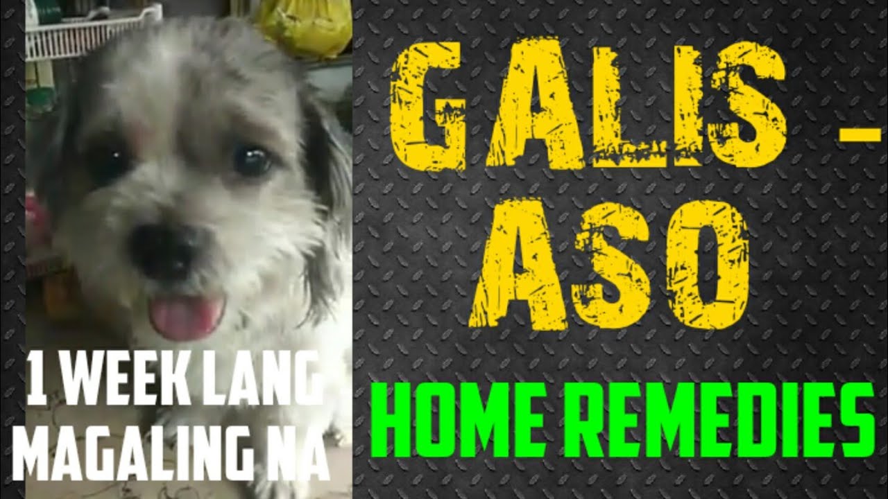GALIS ASO - HOME REMEDIES NI MADAM ZHEL - YouTube