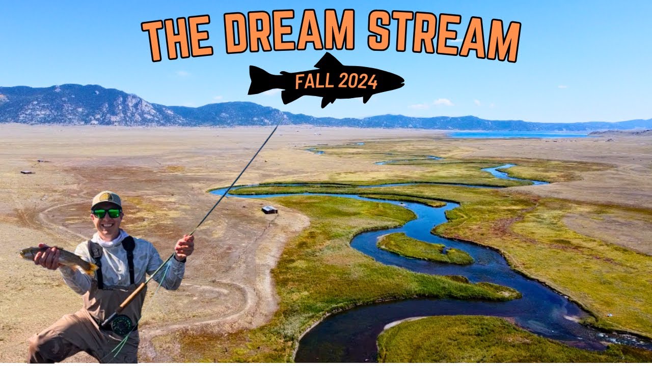 Fly Fishing the Dream Stream in Colorado | Fall 2024 - YouTube