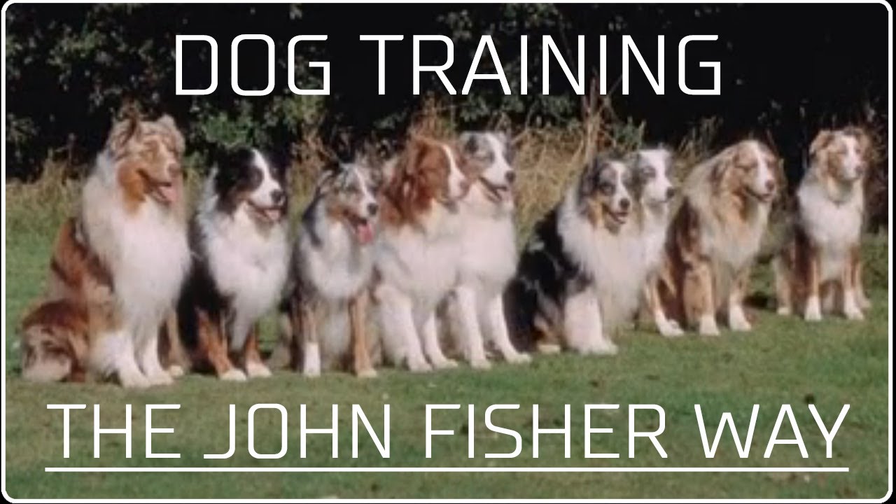 Dog Training - The John Fisher Way - YouTube