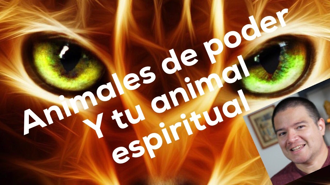 Conoce tus animales de Poder, Totem, y animales espirituales ...