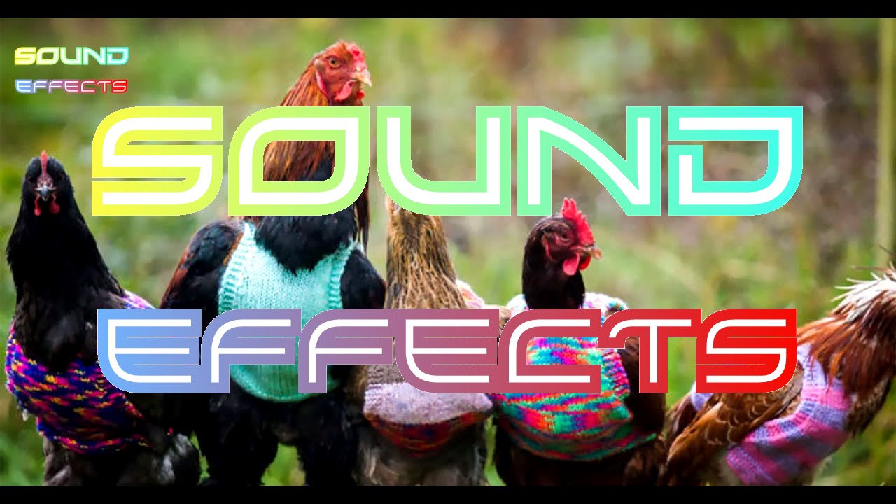 Chicken Cluck Sound Effect #6 - YouTube