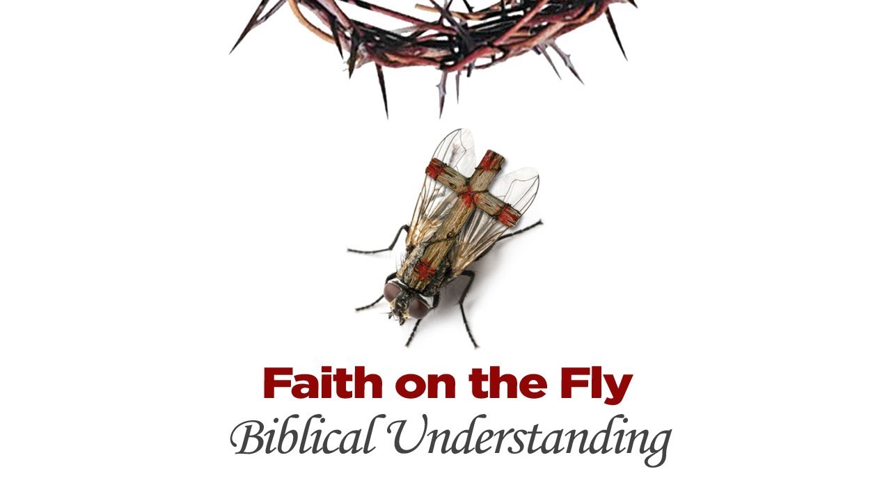 Faith on the Fly- Biblical Understanding - YouTube
