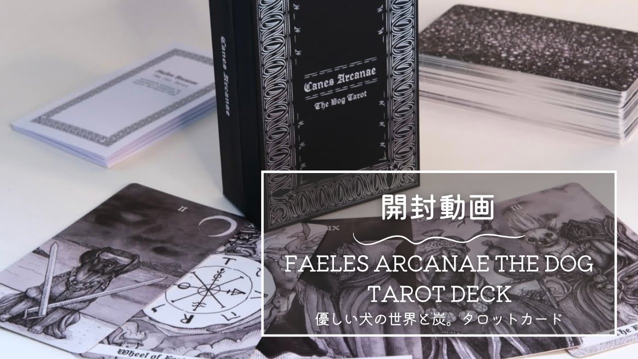 【開封動画】FAELES ARCANAE THE DOG TAROT DECK 優しい犬の世界と炭。タロットカード - YouTube