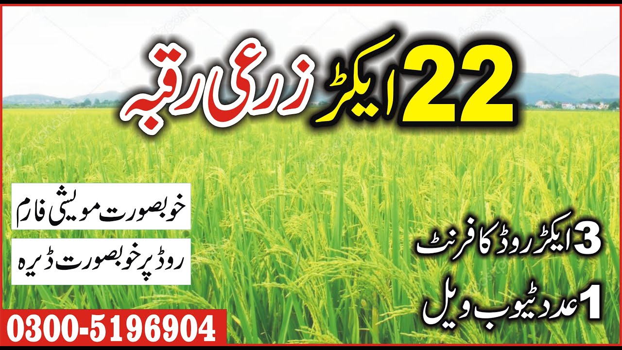 22 Acre Cheap Agriculture Land For Sale In Punjab Pakistan - Best Land ...