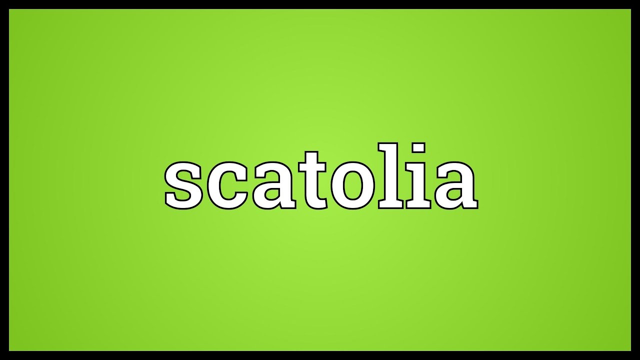 Scatolia Meaning - YouTube