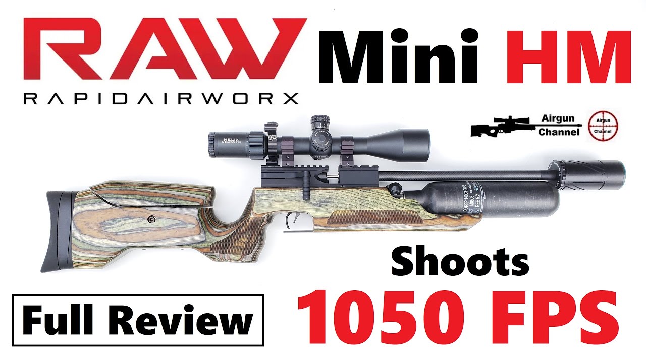 RAW HM1000x Mini LRT (Review) 22LR Power in an SBR PCP Rifle by Rapid ...
