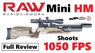 RAW HM1000x Mini LRT (Review) 22LR Power in an SBR PCP Rifle by Rapid ...