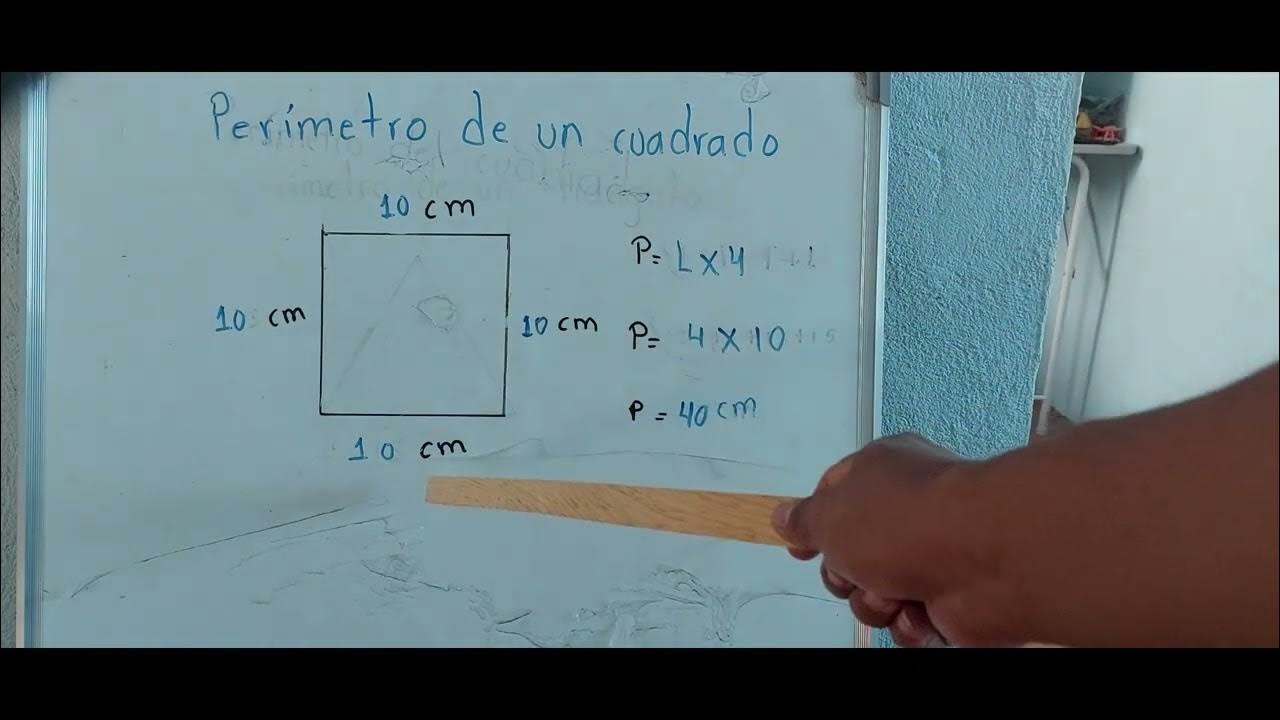 Como sacar el perimetro de un cuadrado - YouTube