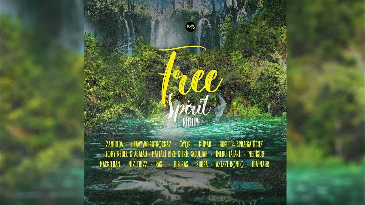 Free Spirit Riddim Mix Bugle,Spragga Benz,Shuga,MediSun,Tony Rebel,Zamunda,Imeru Tafari & More ...