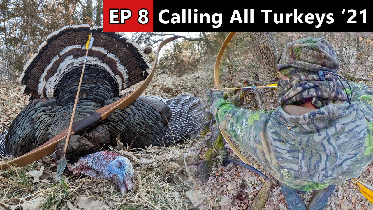 TURKEY HUNTING WITH A RECURVE BOW - Run-N-Gun Style - Public Land ...