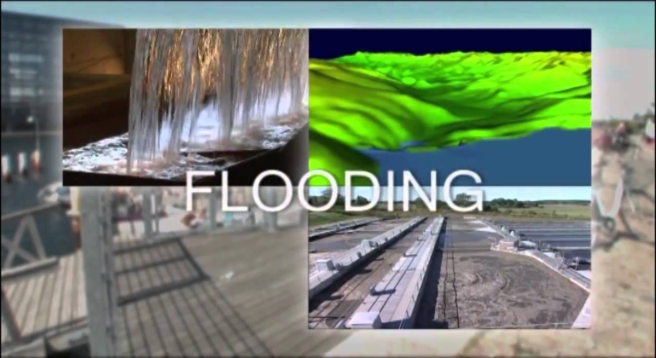 DHI: Water.Environment.Health. - YouTube