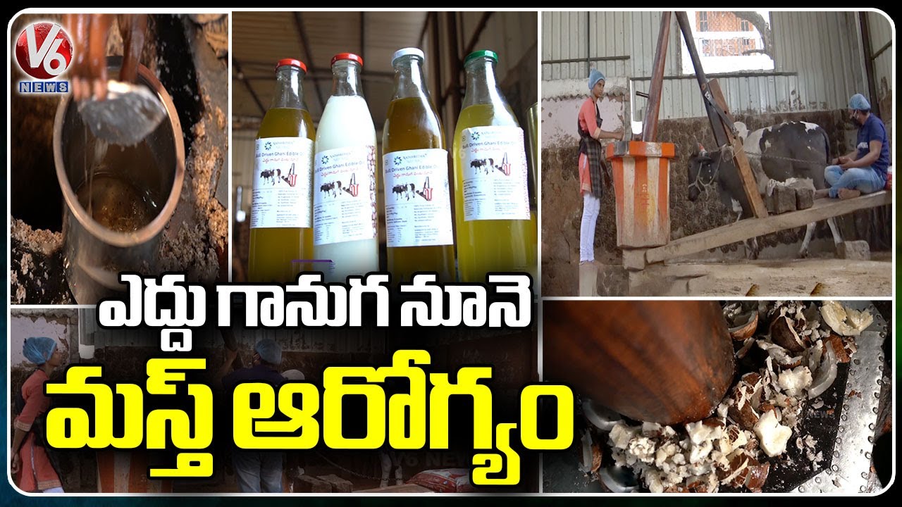 Bull Driven Oil Making In Live | Yeddu Ganuga Oil | Aaradhya Naturals ...