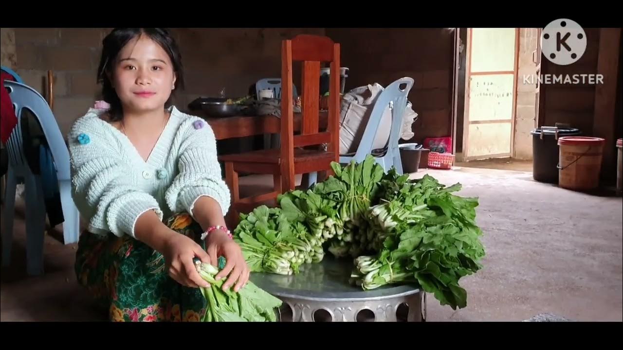 yeeb laim yuav pab zaub mus muag os 14 ພຶດສະພາ 2024 - YouTube