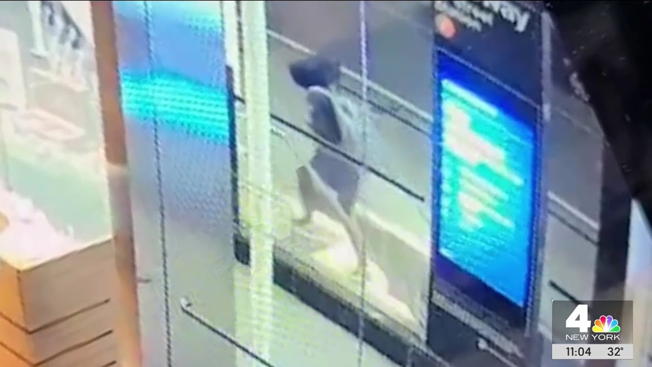 Health insurance CEO killer used fake ID at hostel where he was spotted ...