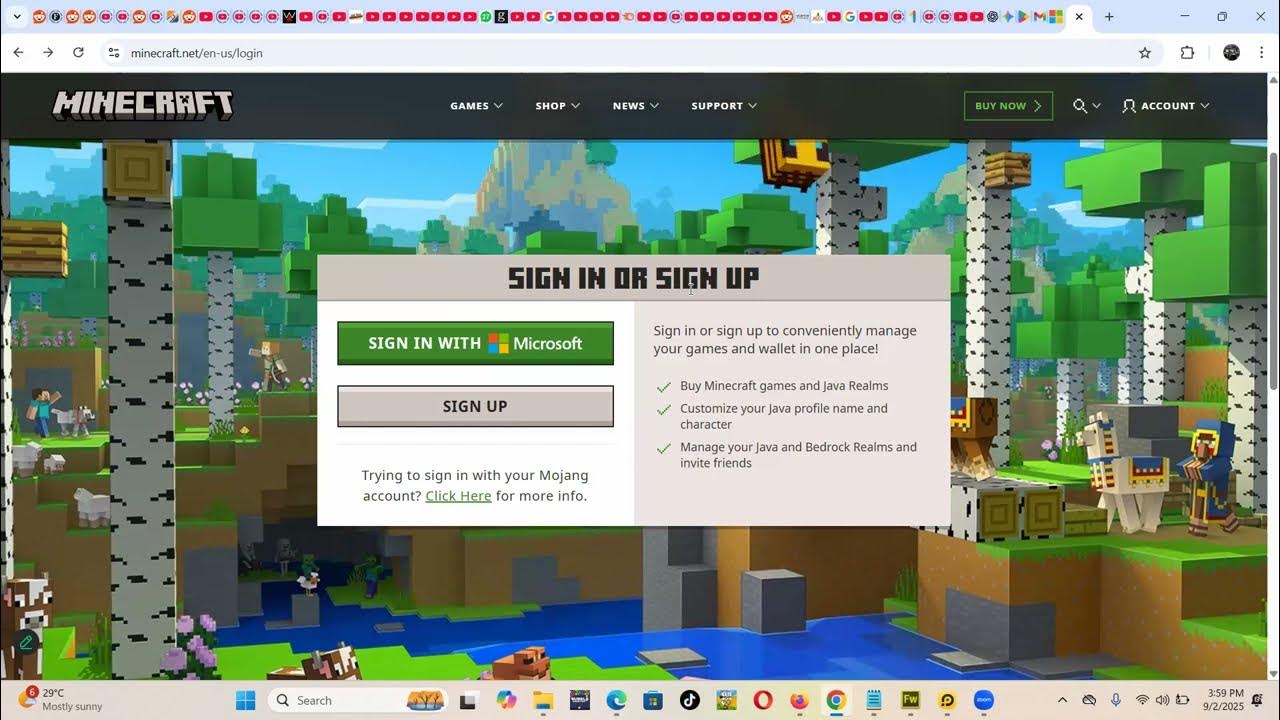 Too Many Request Microsoft Account Login Error FIXED | What causes it ...