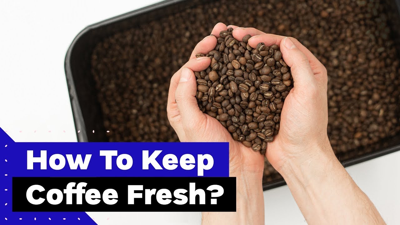 Barista's Guide To Coffee Freshness w/ Gwilym Davies - YouTube
