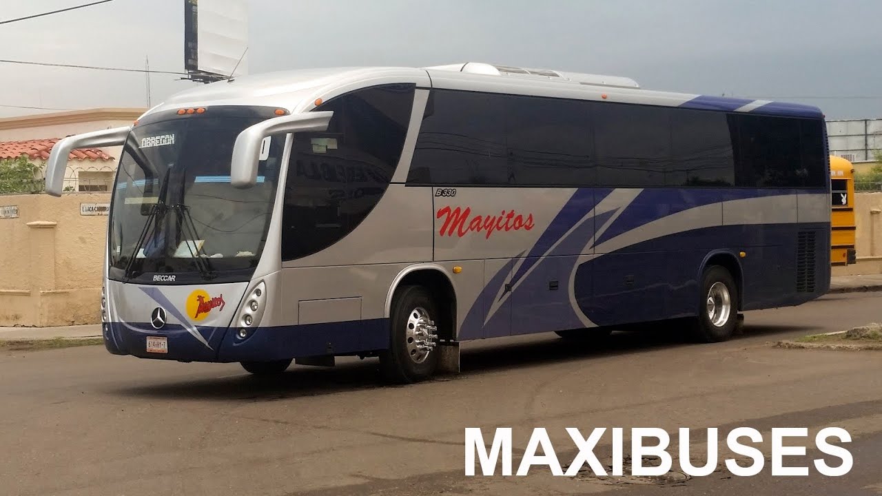 Autobuses Los Mayitos - YouTube