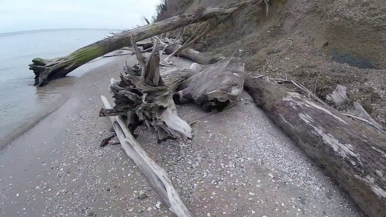 Calvert Cliffs Feb 15 2019 - YouTube