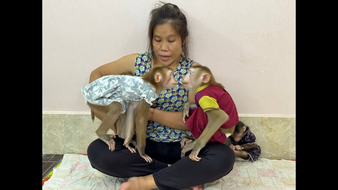 Heart Warming!! Sovan & Sovanny Give Each Other Warm K-I-S-S With Much Love & Affection , - YouTube