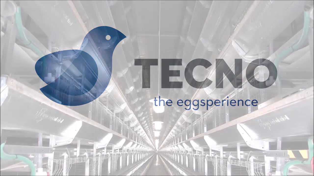 Ideal Plus Video part 1 - YouTube