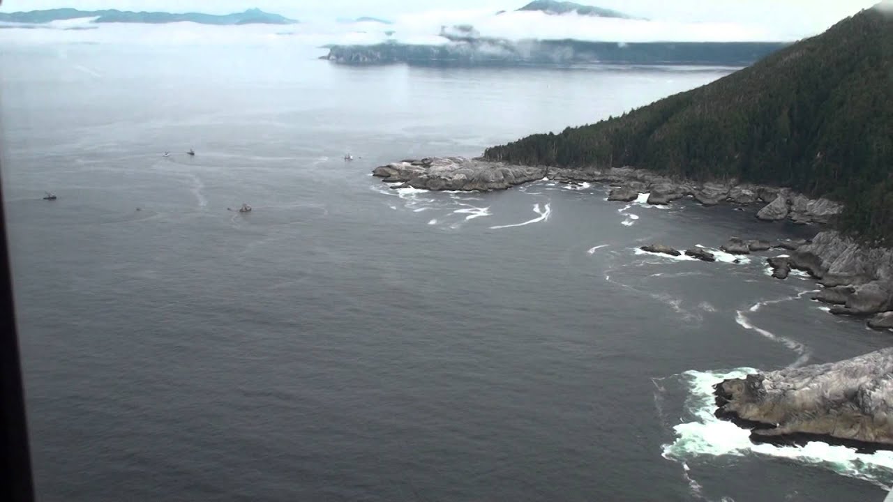 Southeast Alaska - Aerial surveys - Dall Island - YouTube