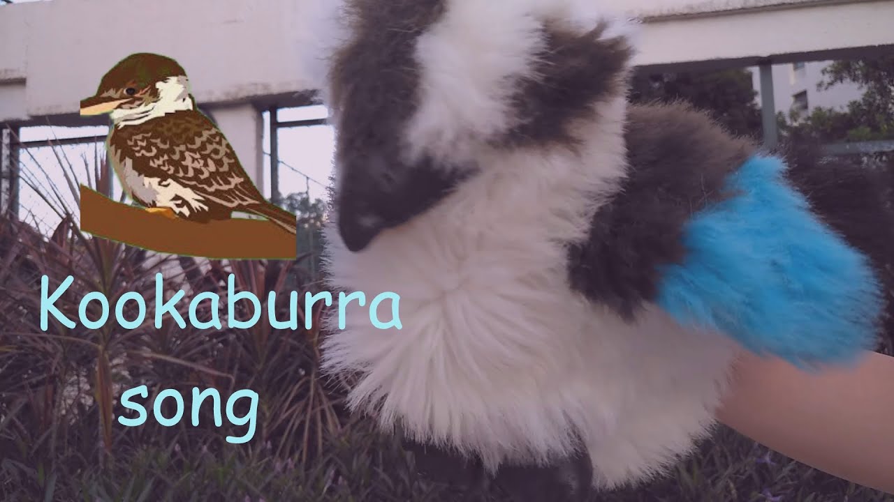 The kookaburra song | See Puppets Show | Bird puppet Show | Australian ...