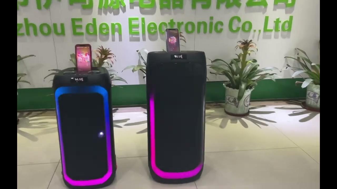 EDEN New design dual 6.5 speakers and dual 8 inch speaker a series of ...