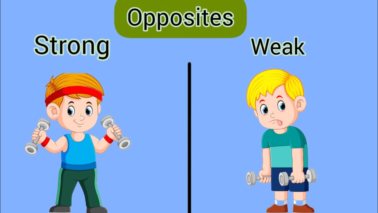 Opposite words | opposite words in english |Antonyms |most important ...