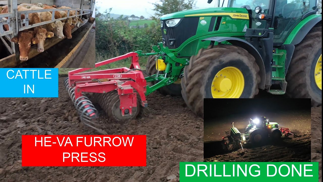 DRILLING FINISHED - FURROW PRESS - CATTLE IN - YouTube