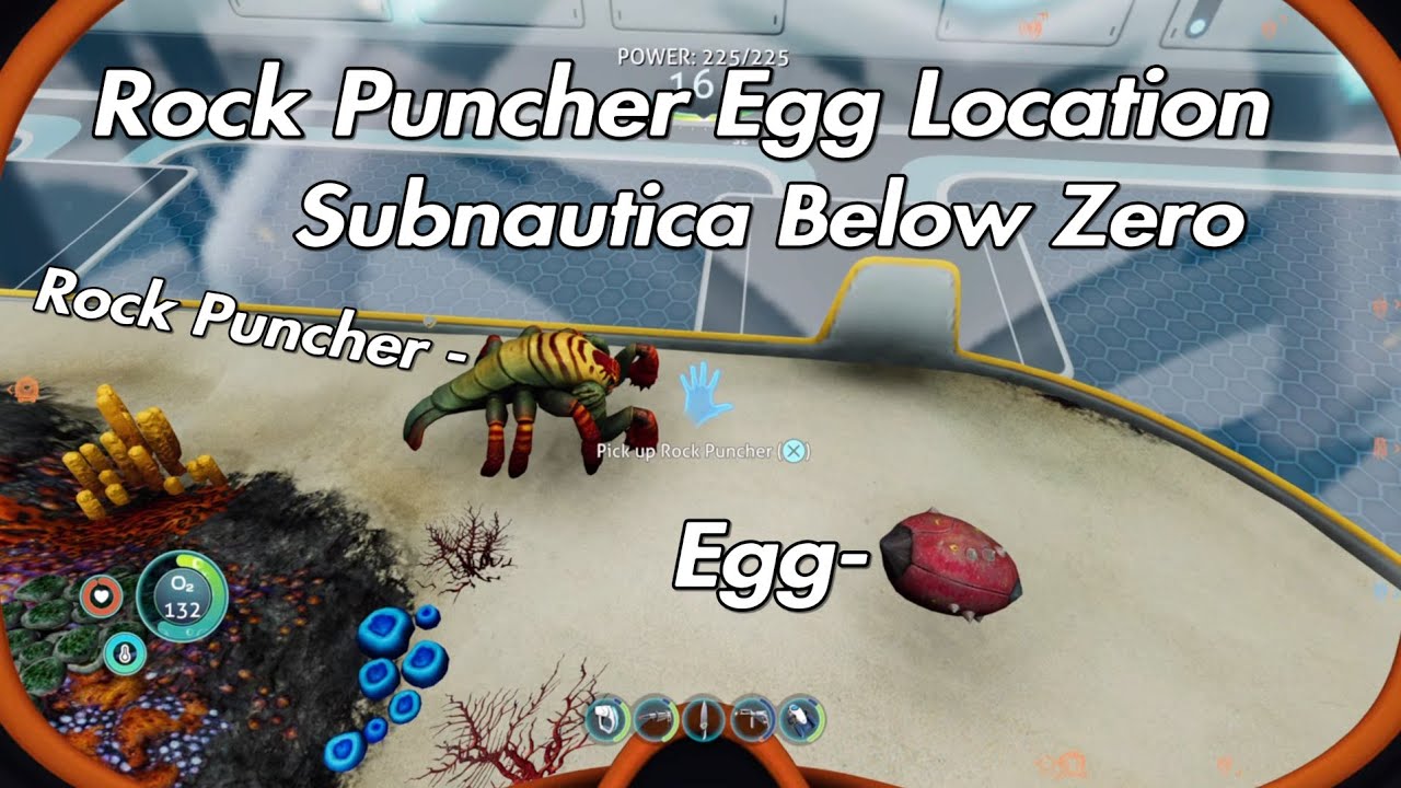 Subnautica Below Zero - Rock Puncher Egg Location - YouTube