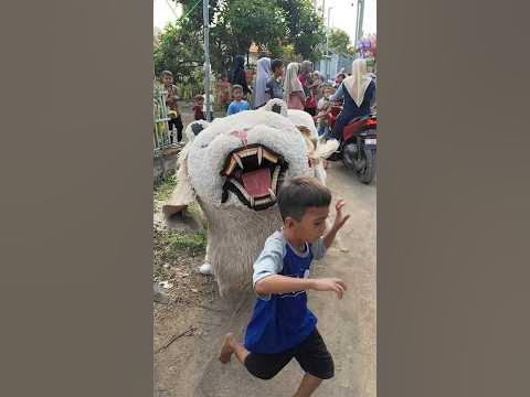 Can macanan kejar bocil ep ep - YouTube