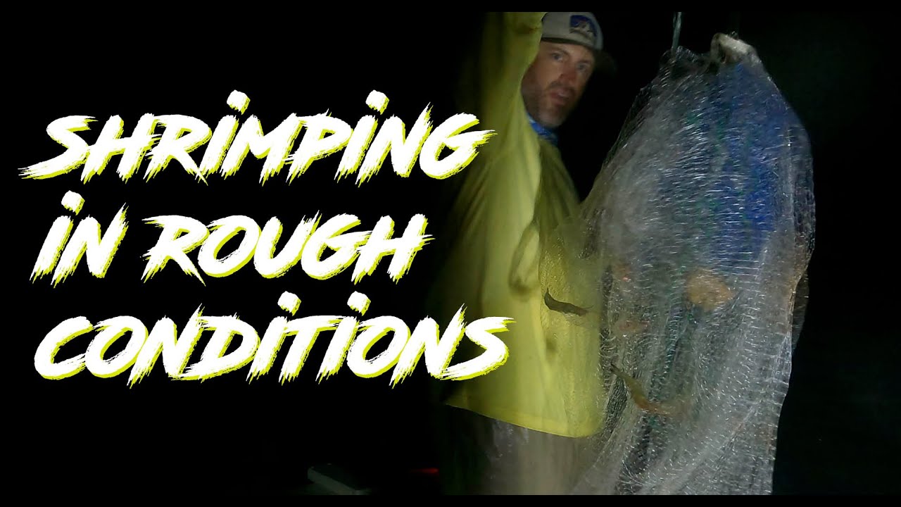 Shrimping out the Robalo R180??? 🔥🔥🦐 | Charleston SC | #shrimp # ...