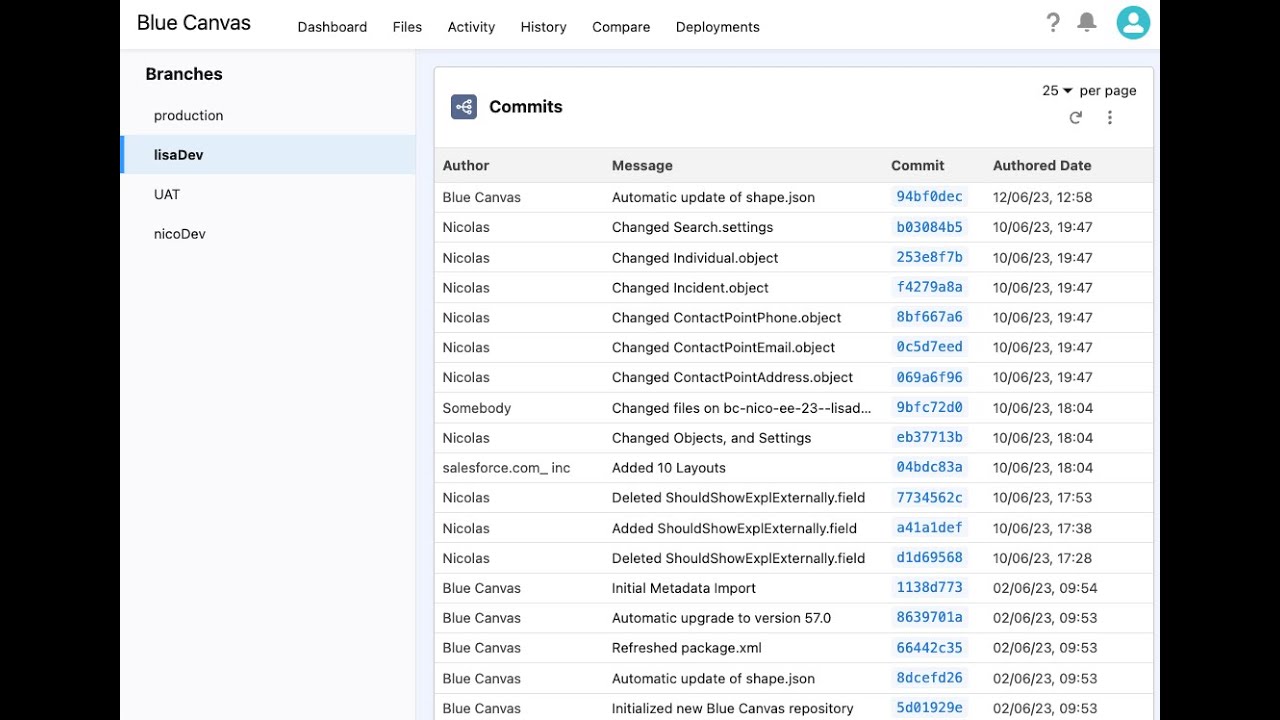 Salesforce Version Control - Blue Canvas hands-on demo - YouTube