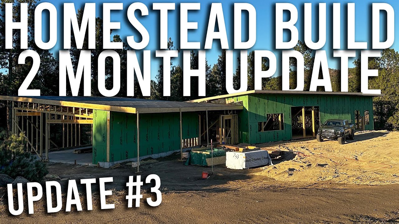 HOMESTEAD Build Update #3 - Two Months Into My Custom House Build - YouTube
