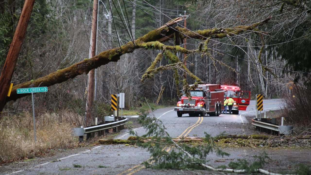 Wind Storm Knocked out power to 9,600 People! - YouTube