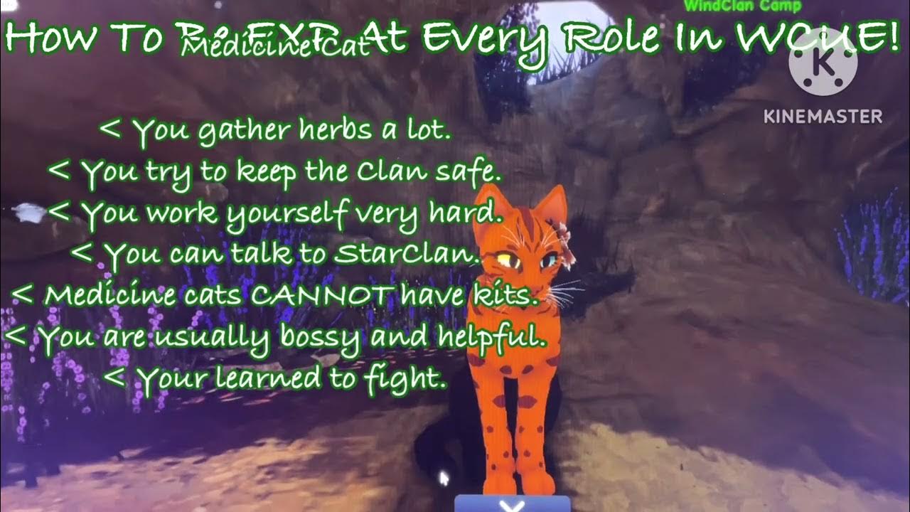 How To Be EXP At All Roles In WCUE Roblox! - YouTube