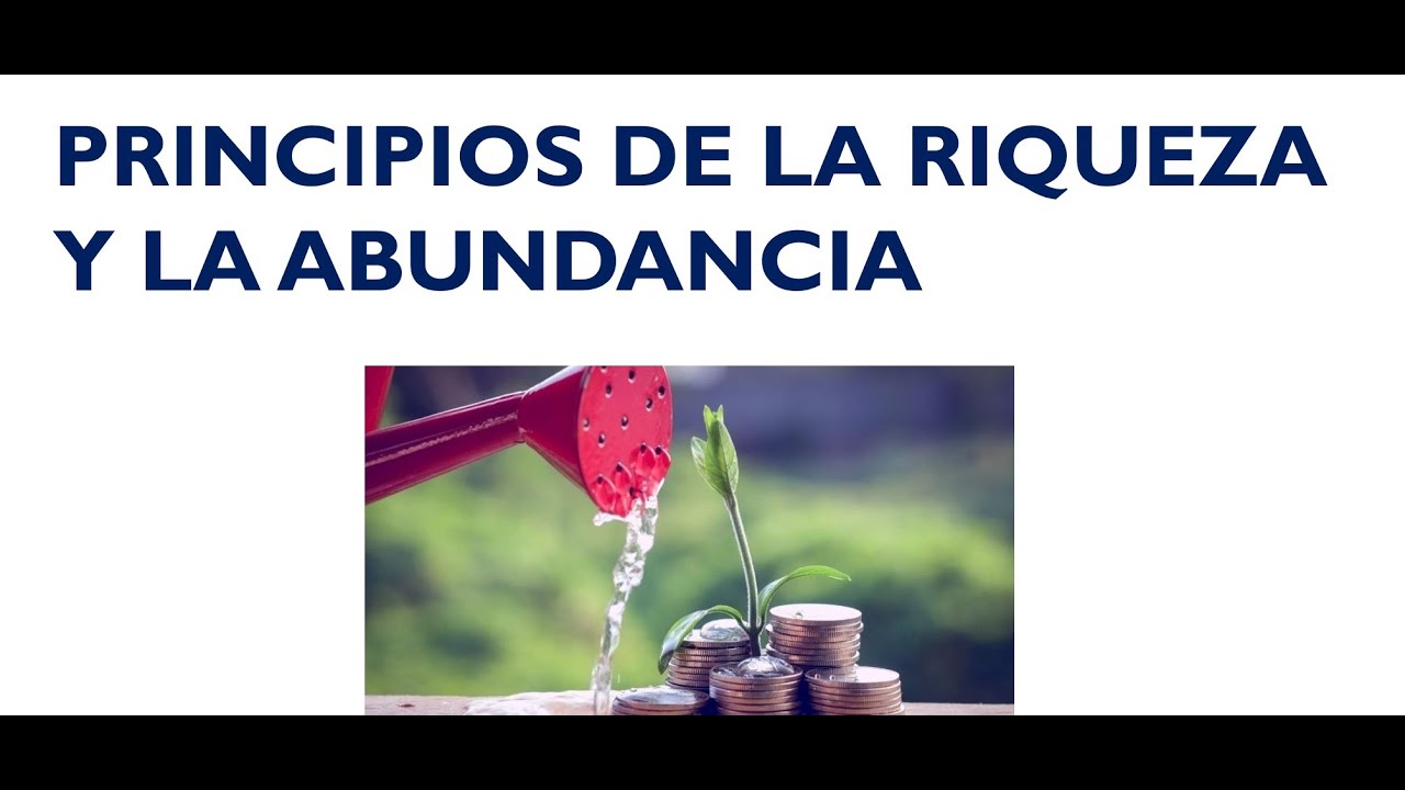 PRINCIPIOS DE LA RIQUEZA Y LA ABUNDANCIA - YouTube