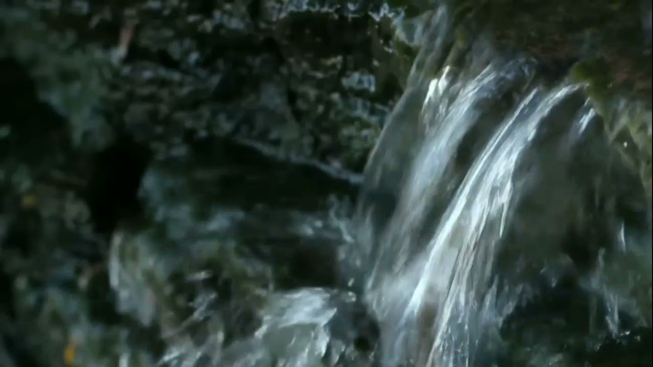 Relaxing Water Trickling Sound Youtube