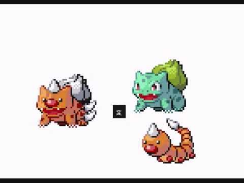 Pokemon Fusion! Bulbasaur and Weedle - YouTube