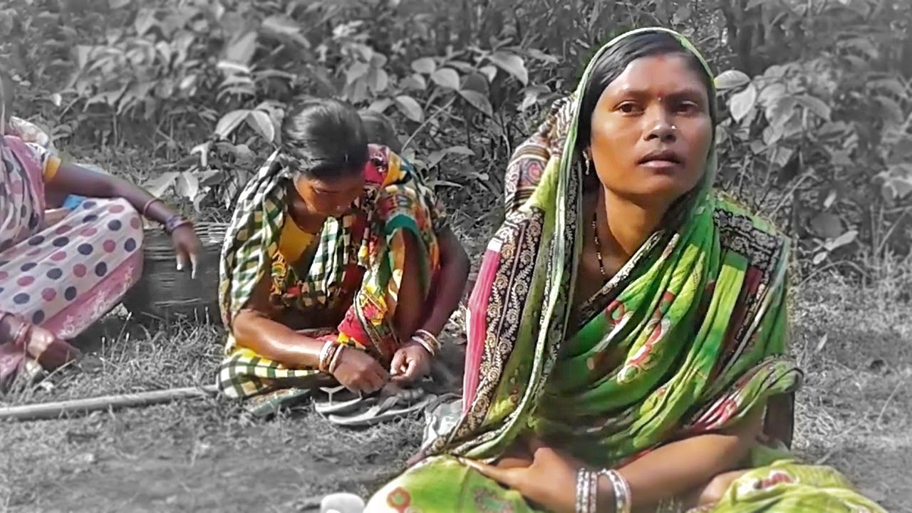 “The Forest is our Mother”: Conservation and Sustainable Living in ...