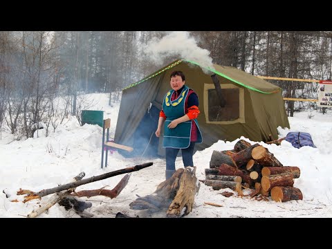 north nomad family routine in a forest tent in wilderness