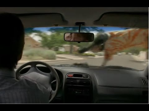 People Getting Hit by a Car - YouTube