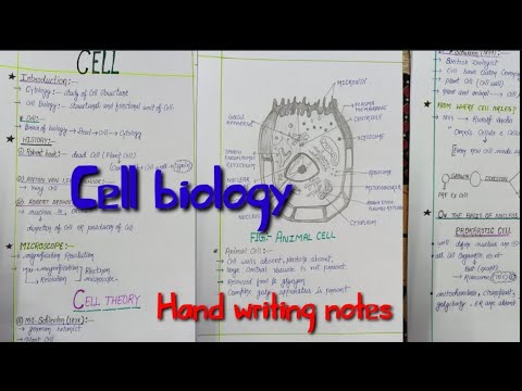 Cell biology full explained hand writing notes || Cell physiology notes ...