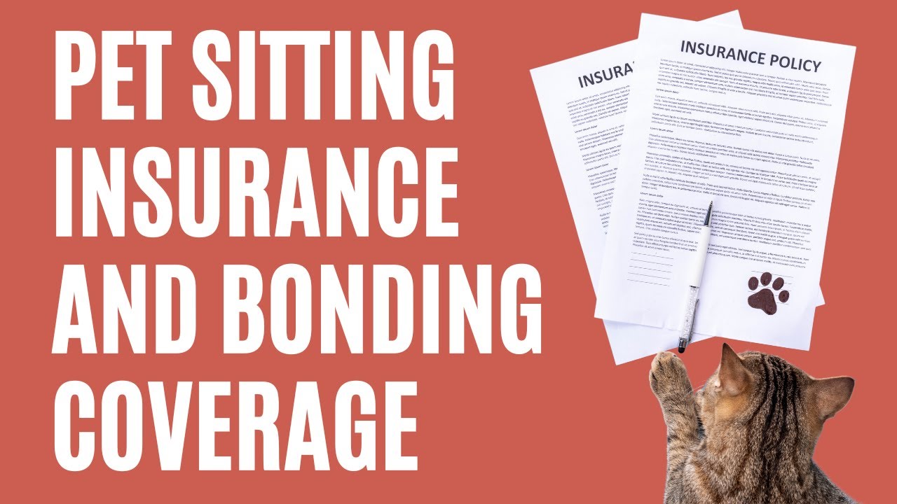 All About Pet Sitting Insurance & Bonding - The Comforted Kitty - YouTube