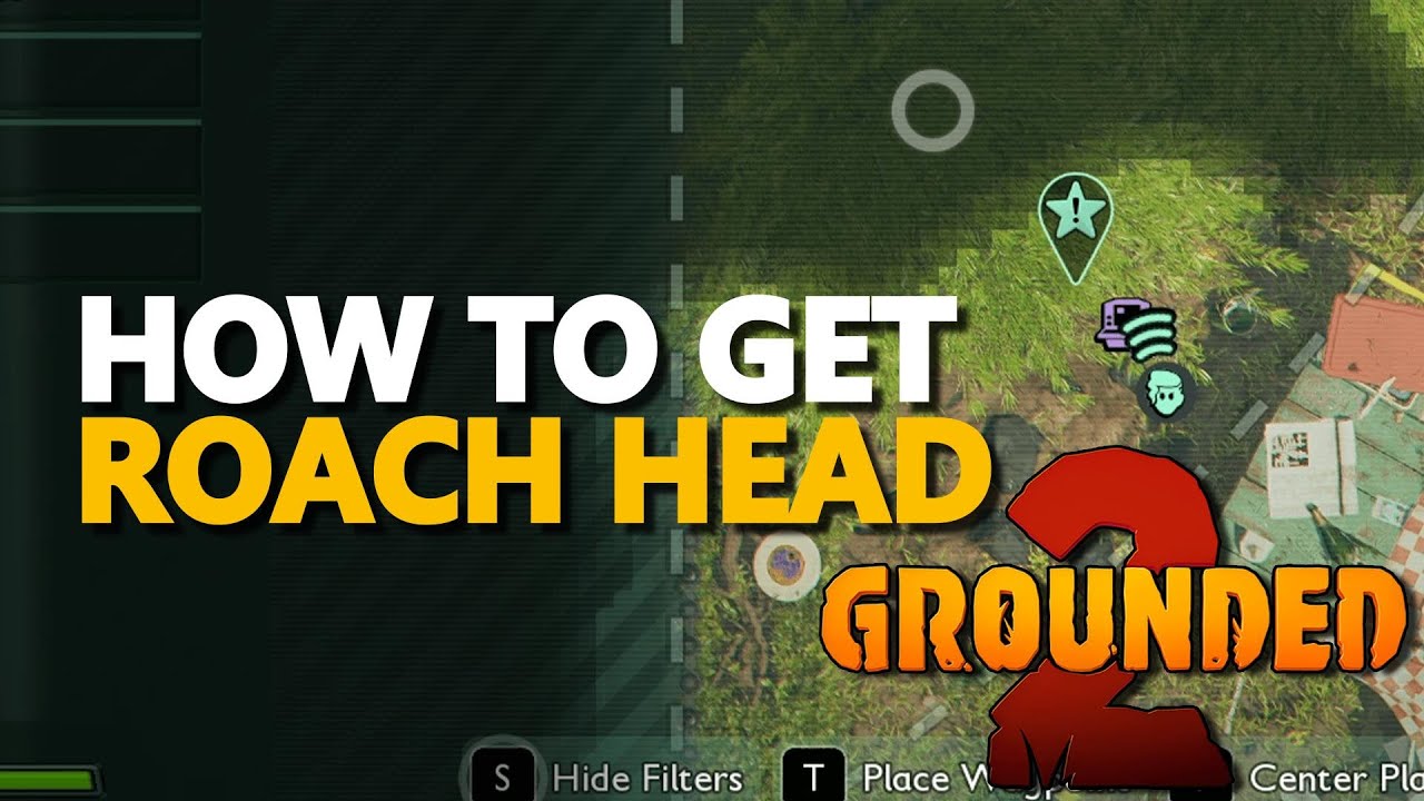 Roach Head Location Grounded 2 - YouTube