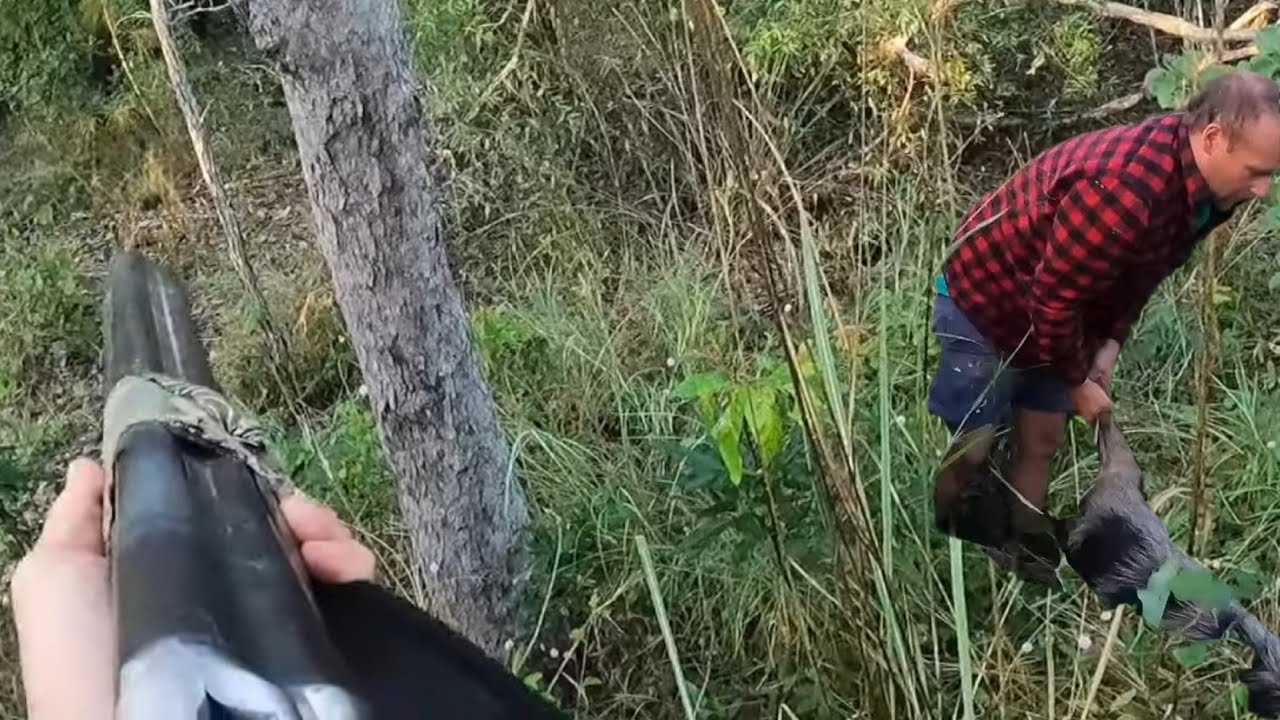 Catching The Fastest Pigs in the North, Perfect Running Size!! - YouTube