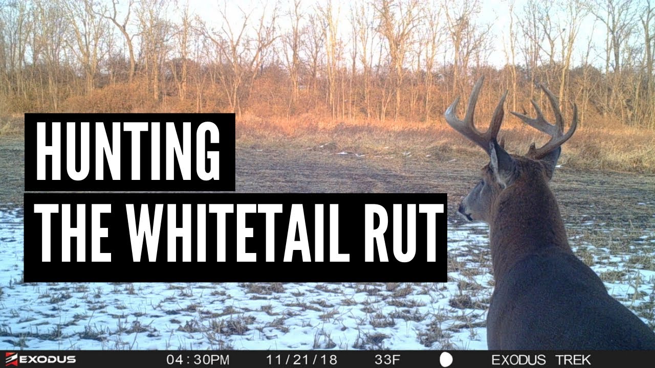 November Rut Hunting with Don Higgins, Jeff Sturgis and Jason Michael ...