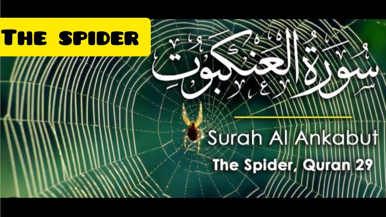 Beautiful Recitation of Surah Al-Ankabut 🕷 (سورۃالعنکبوت) #quran # ...