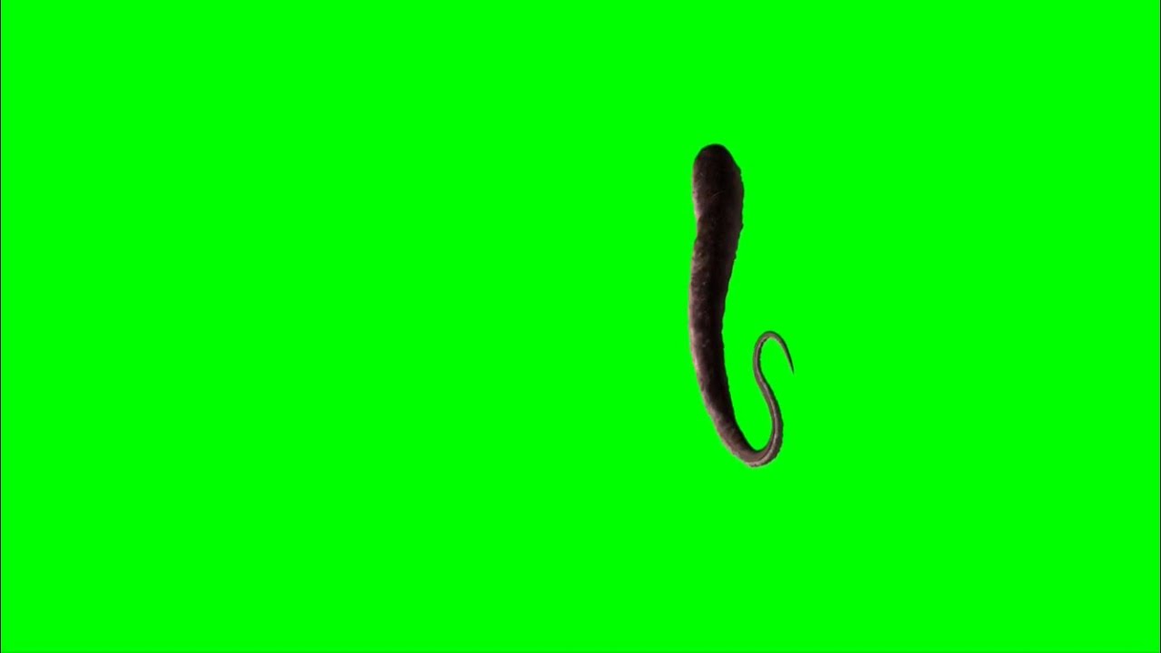 Green Screen Venom Tongue Effect requested by Gaming To Its Best - YouTube
